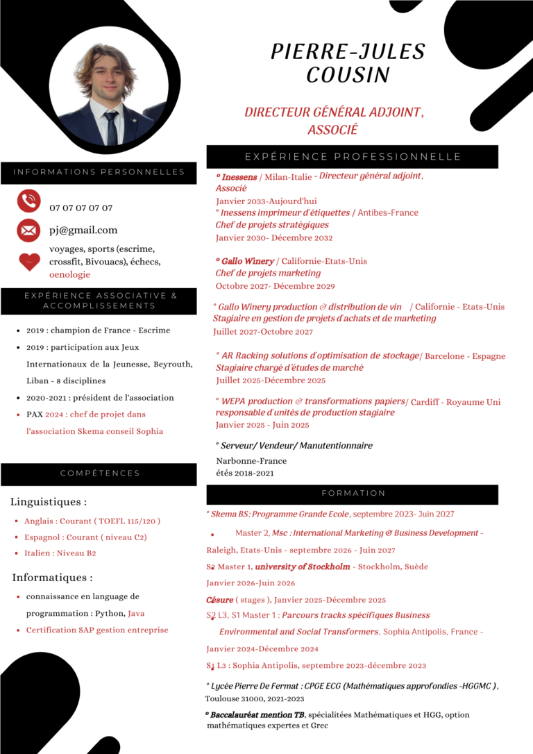 CV projectif de SKEMA (20/20) : l'exemple de Pierre-Jules - Mister Prépa