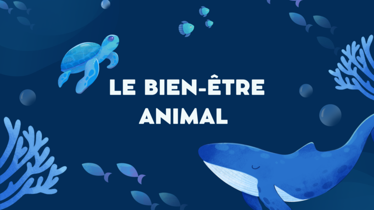Le bien – être animal du point du vu britannique et américain - Mister ...