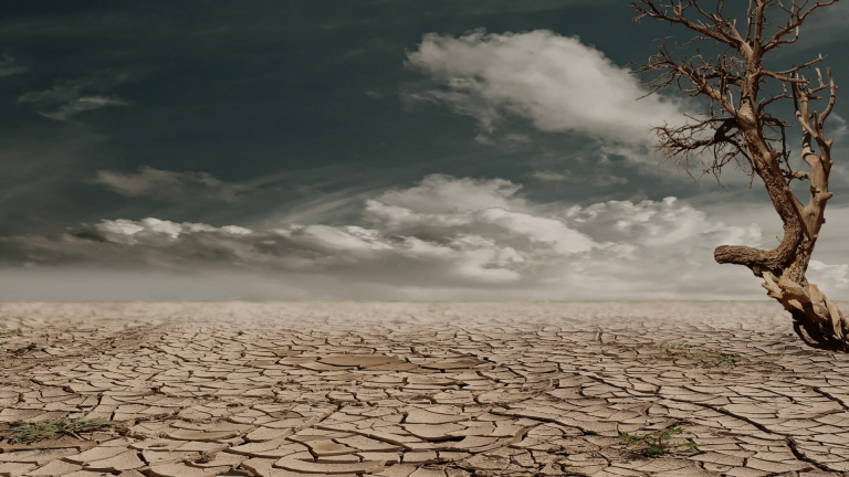 También la lluvia : Colonisation et la Crise de l'Eau en Amérique ...