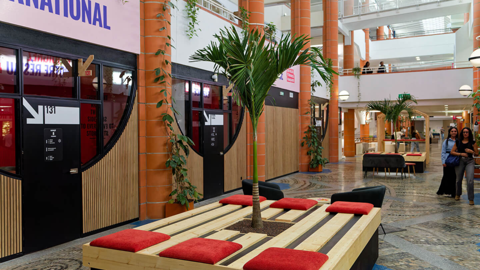 Concours 2026 : TBS Education dévoile de nouveaux atouts pour son Programme Grande École ...